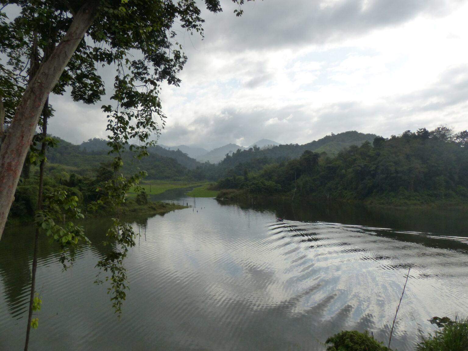 Forty-three CSOs want Eight State Governments to Deliver on Their ...