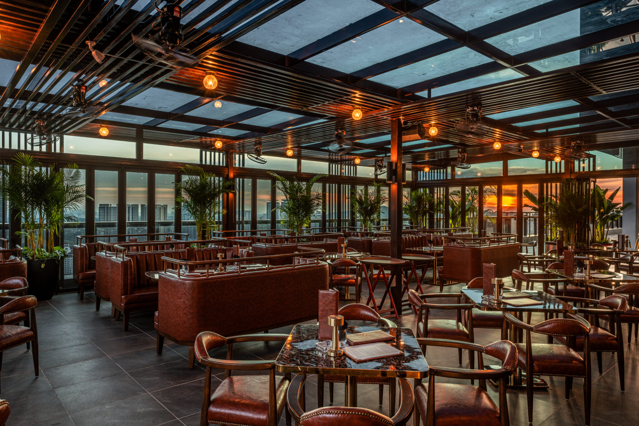 The Olive Tree: A Dining Empire Beyond Borders